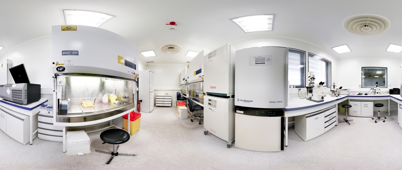 Plateforme de culture cellulaire | LBPA